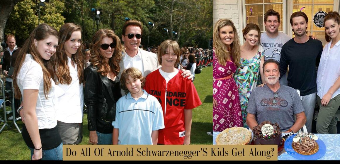 Do All Of Arnold Schwarzenegger'S Kids Get Along? - Atlas Singularity ...