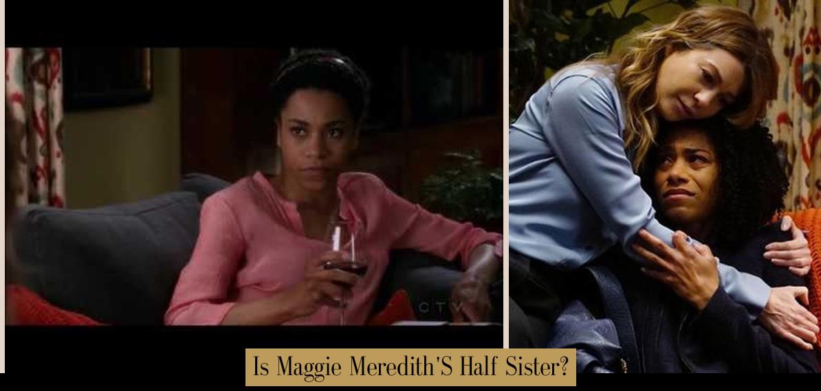 Is Maggie Meredith'S Half Sister? - Atlas Singularity — Money, Wealth ...