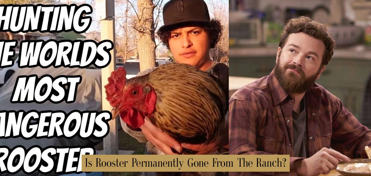 Is Rooster Permanently Gone From The Ranch? - Atlas Singularity — Money ...