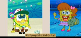 Was Spongebob A Girl Or Boy? - Atlas Singularity — Money, Wealth and ...