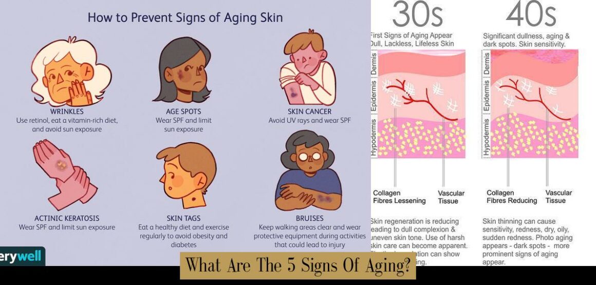What Are The 5 Signs Of Aging? - Atlas Singularity — Money, Wealth and ...