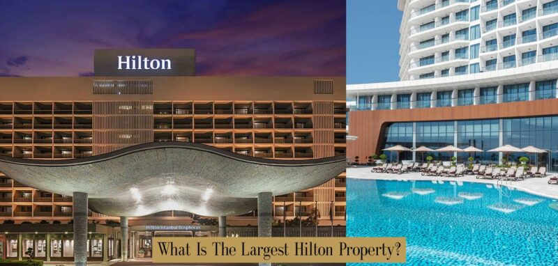 What Is The Largest Hilton Property? - Atlas Singularity — Money ...